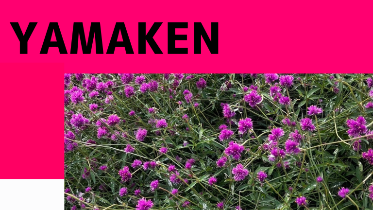 YAMAKEN｜お家の外壁塗装